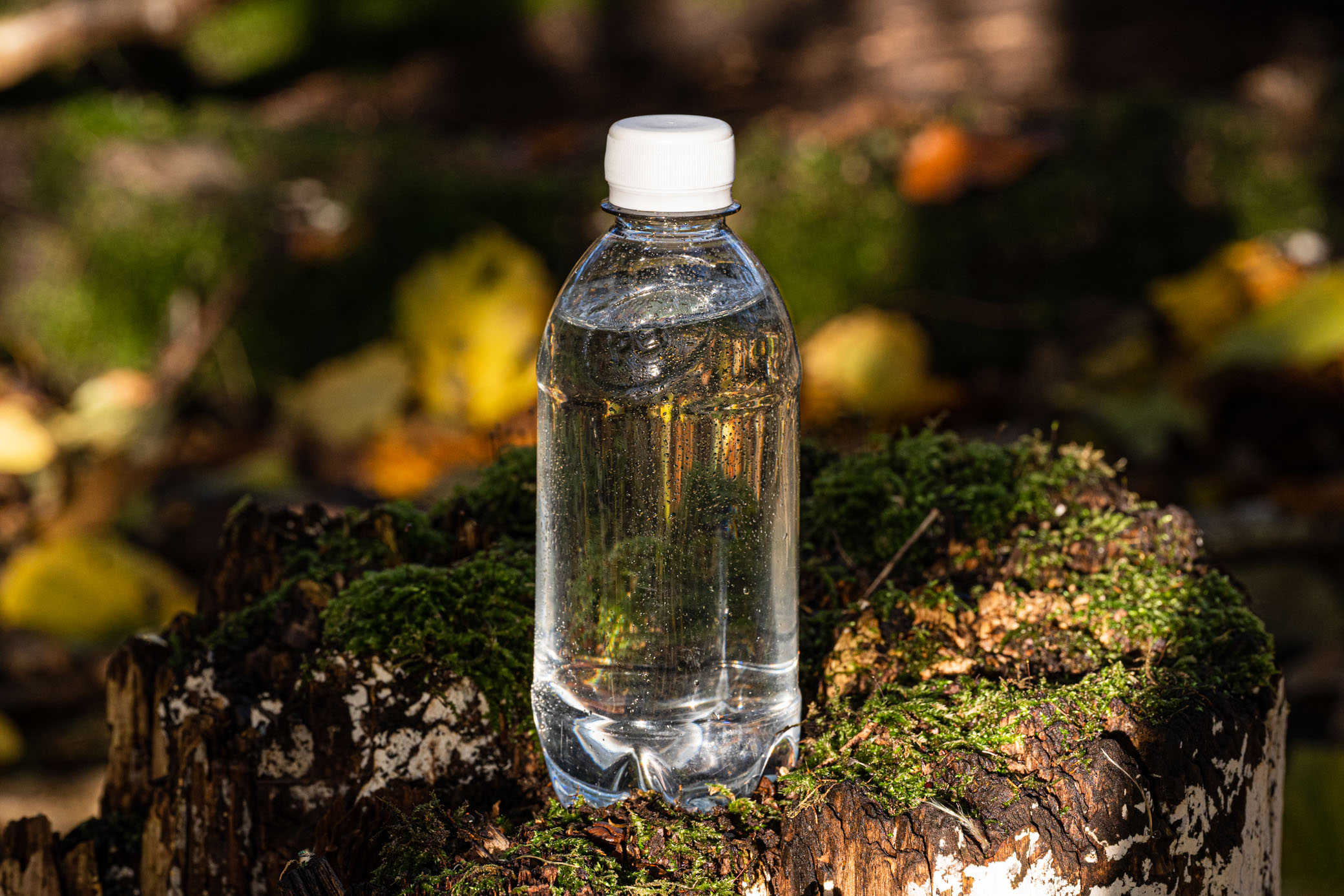 Plastics Recycling Conference - Avantium Corporate